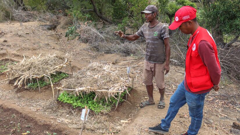 Southern Madagascar: Enhancing local food production through ...