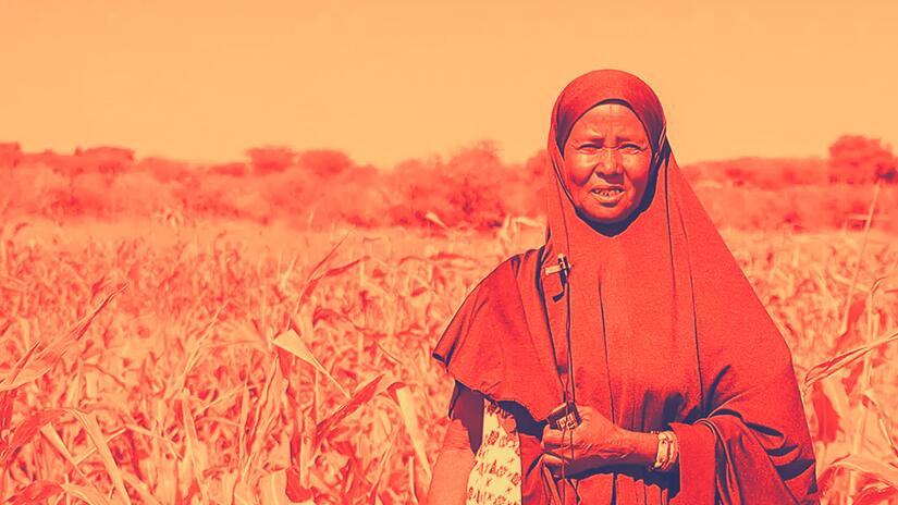 hero-image.jpg | IFRC