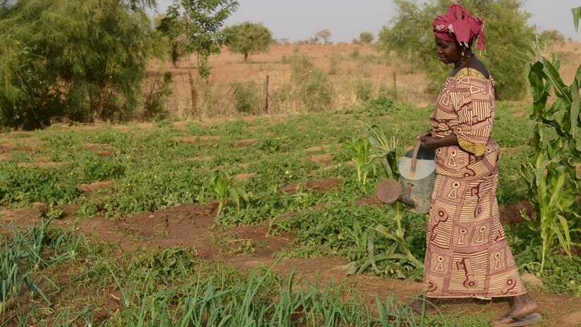 Africa Zero Hunger campaign: The post-aid approach to food insecurity ...