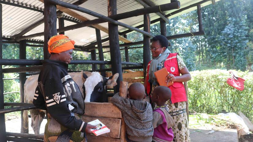 From seeds to strength: How Rwanda’s Model Villages offer a pathway to ...