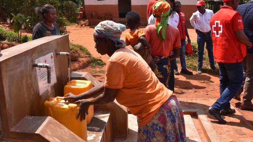 From seeds to strength: How Rwanda’s Model Villages offer a pathway to ...